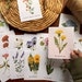 Printable Flower Identification Flashcards Watercolor Flower ID Cards ...