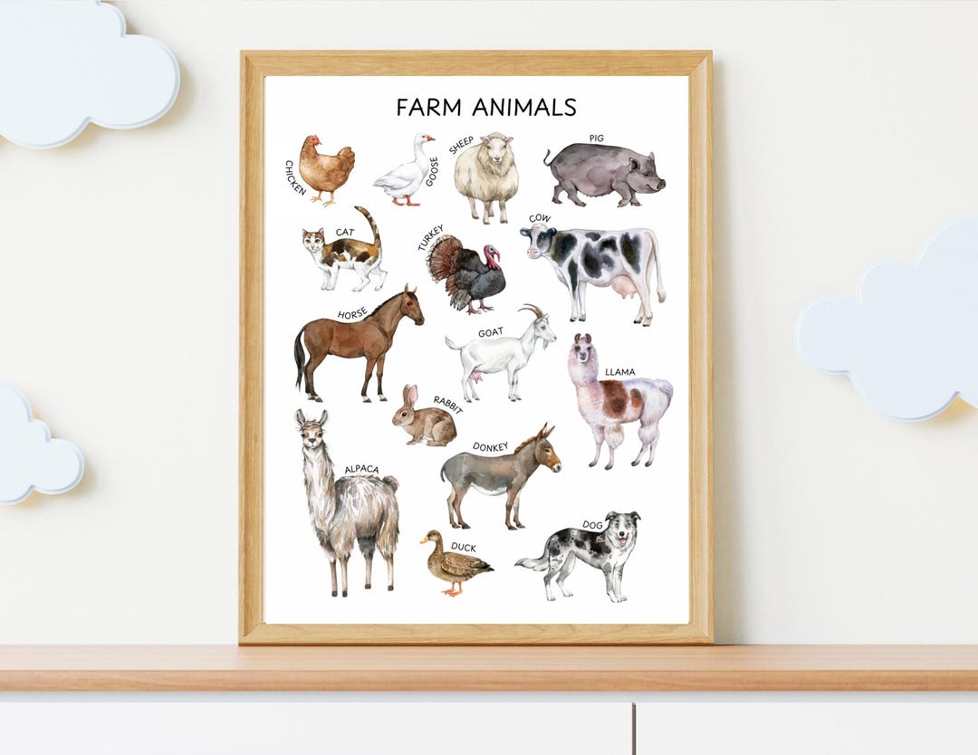 Farm Animals Poster, Homeschool Printables, Classroom Posters, Kids ...