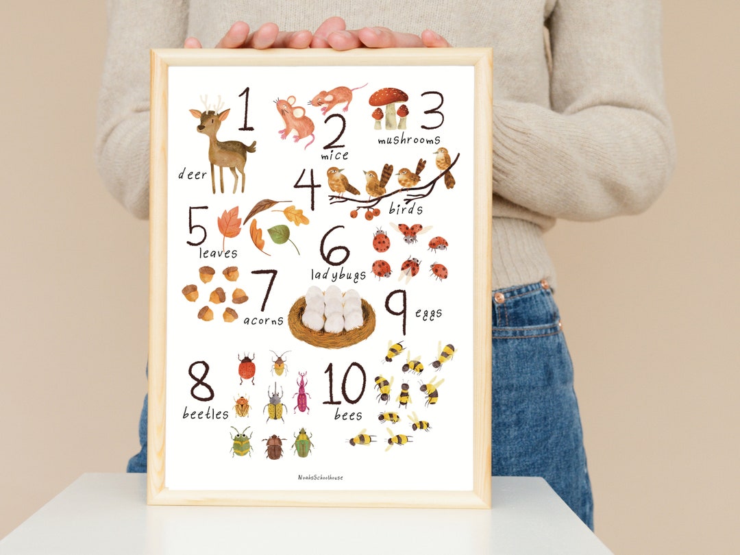 Woodland Numbers Poster Homeschool Printables Classroom - Etsy