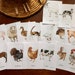 Printable Farm Animals Flashcards | Watercolor Farm Animals Flashcards ...