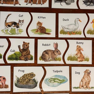 Printable Adult Animals and Their Young Flashcards | Matching Activity ...