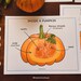 Printable Anatomy of a Pumpkin | Unit Study | Homeschool | Fall Study ...