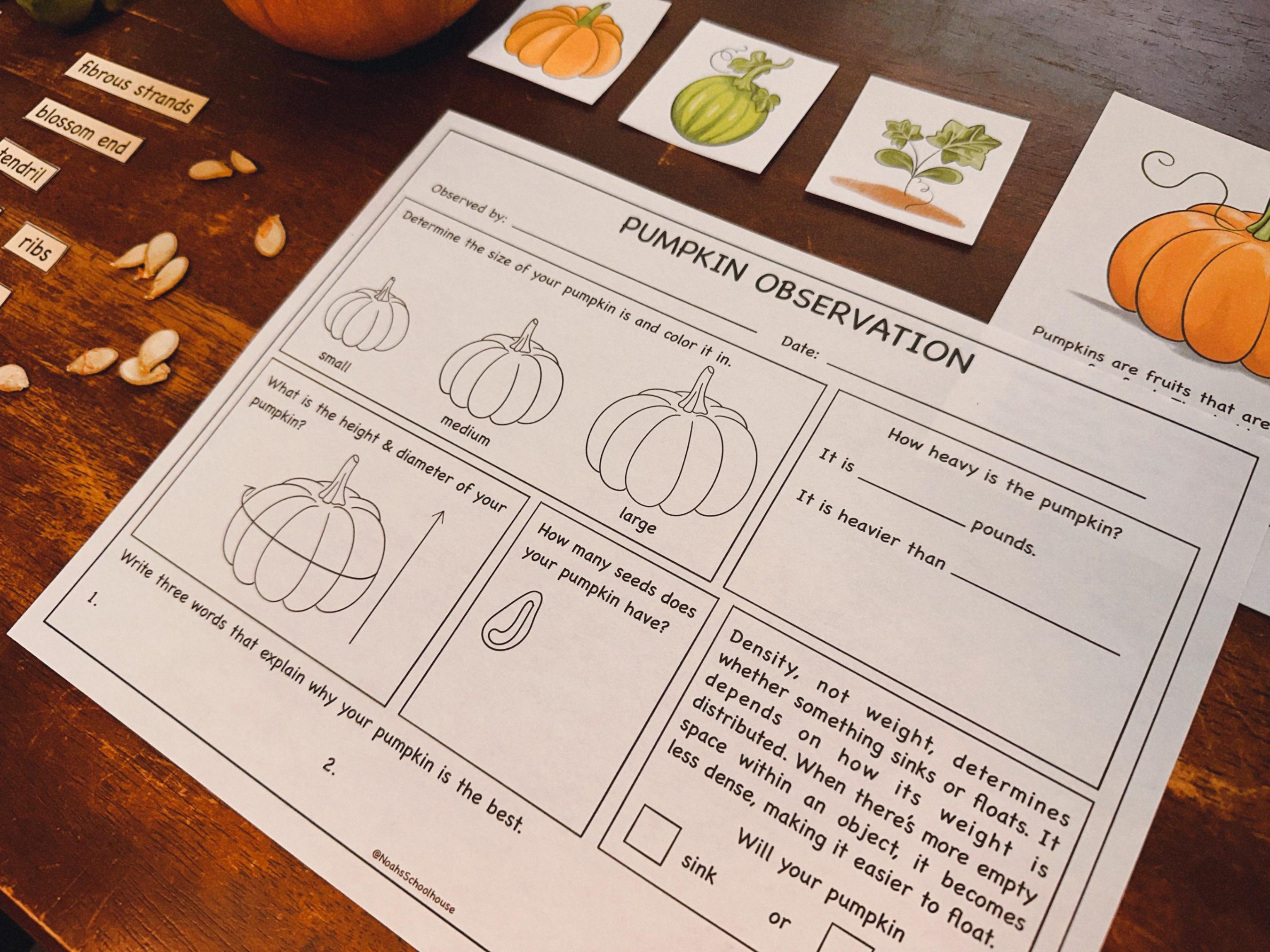 Printable Anatomy of a Pumpkin | Unit Study | Homeschool | Fall Study ...