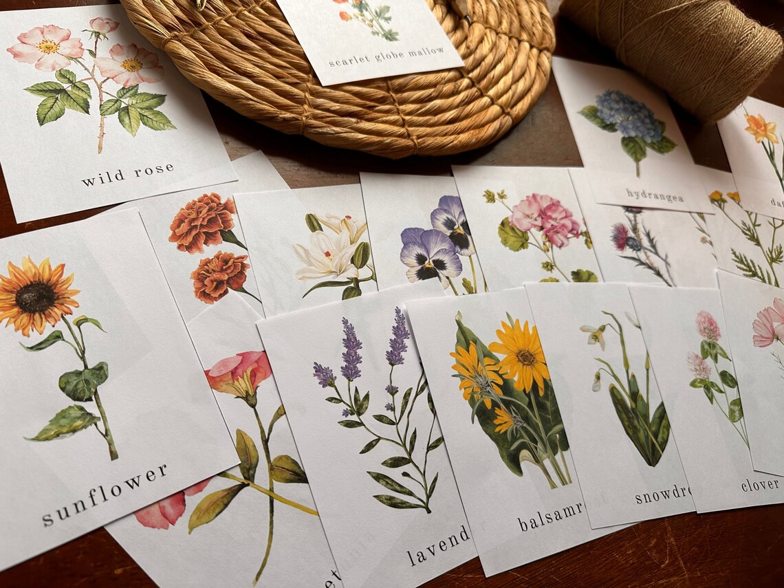 Printable Flower Identification Flashcards Watercolor Flower ID Cards ...