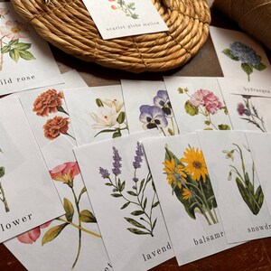 Printable Flower Identification Flashcards | Watercolor Flower ID Cards ...