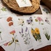 Printable Flower Identification Flashcards Watercolor Flower ID Cards ...
