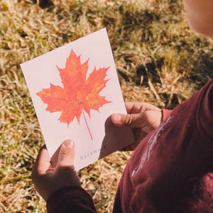 Printable Autumn Leaves Flashcards | Watercolor Leaves Flashcards ...