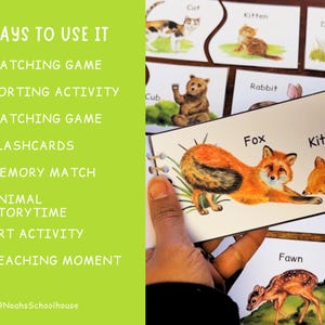 Printable Adult Animals and Their Young Flashcards | Matching Activity ...