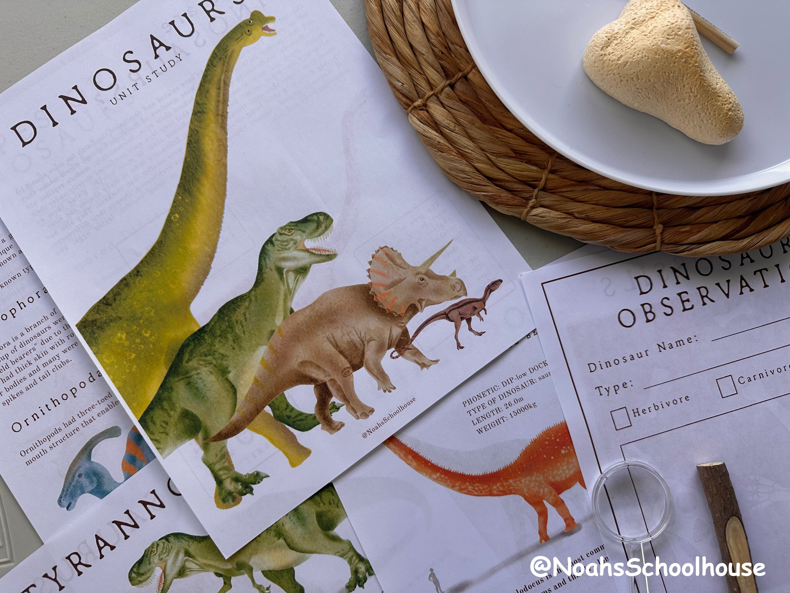 Printable Dinosaur Unit Study Homeschool - Etsy