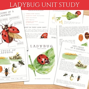 Printable Ladybug Unit Study | Homeschool - Etsy
