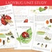 Printable Ladybug Unit Study | Homeschool - Etsy