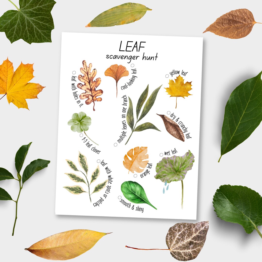 Printable Leaf Scavenger Hunt Homeschool Learning Materials Nature ...