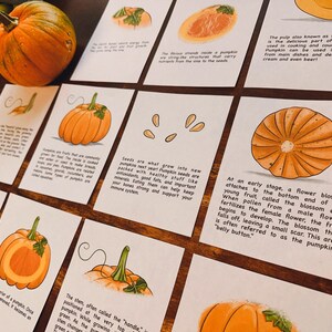 Printable Anatomy of a Pumpkin | Unit Study | Homeschool | Fall Study ...