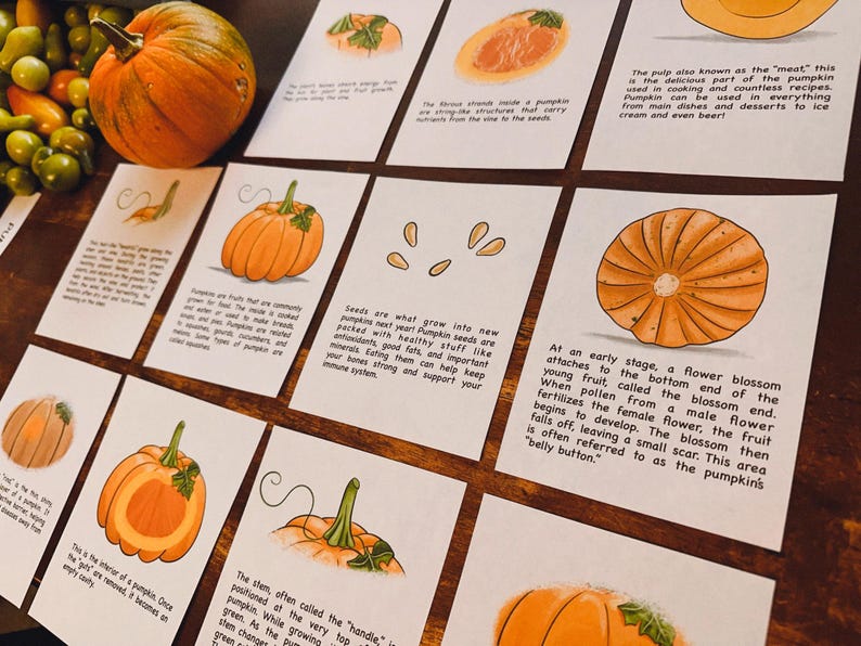 Printable Anatomy of a Pumpkin | Unit Study | Homeschool | Fall Study ...