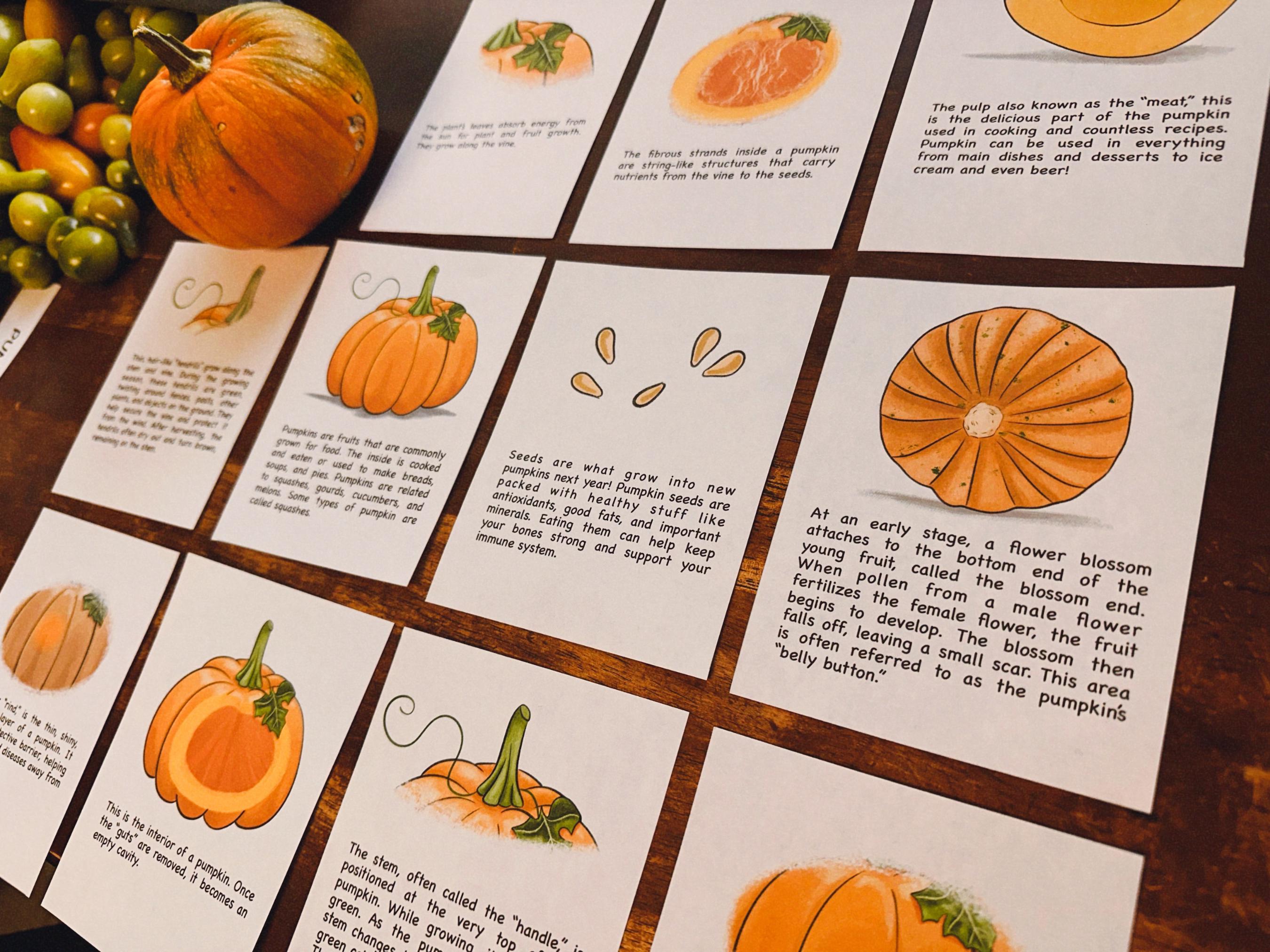Printable Anatomy of a Pumpkin | Unit Study | Homeschool | Fall Study ...