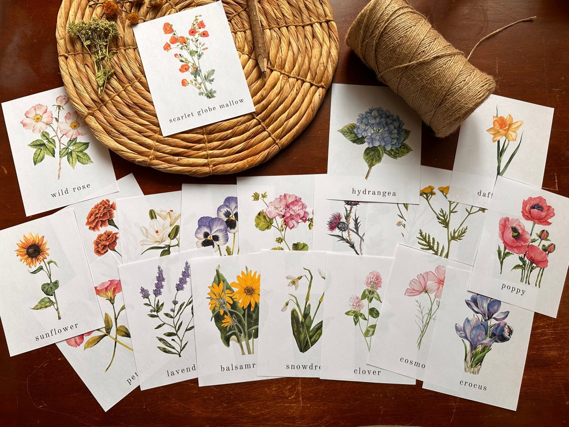 Printable Flower Identification Flashcards Watercolor Flower ID Cards ...