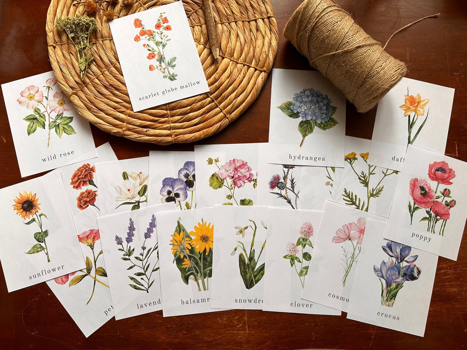 Printable Flower Identification Flashcards Watercolor Flower ID Cards ...