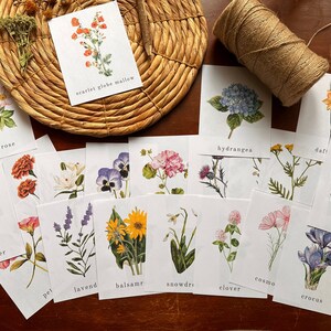 Printable Flower Identification Flashcards | Watercolor Flower ID Cards ...