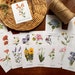Printable Flower Identification Flashcards Watercolor Flower ID Cards ...