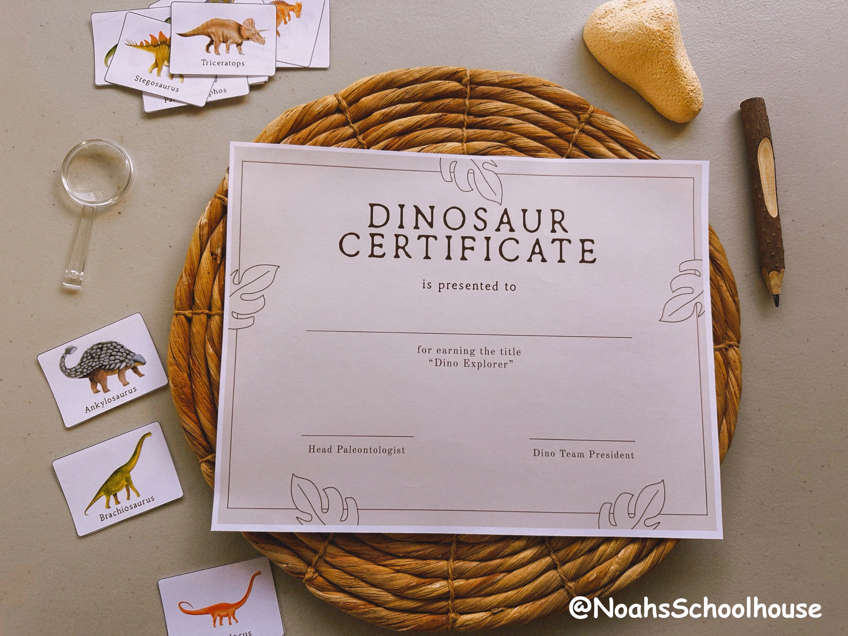 Printable Dinosaur Unit Study Homeschool - Etsy