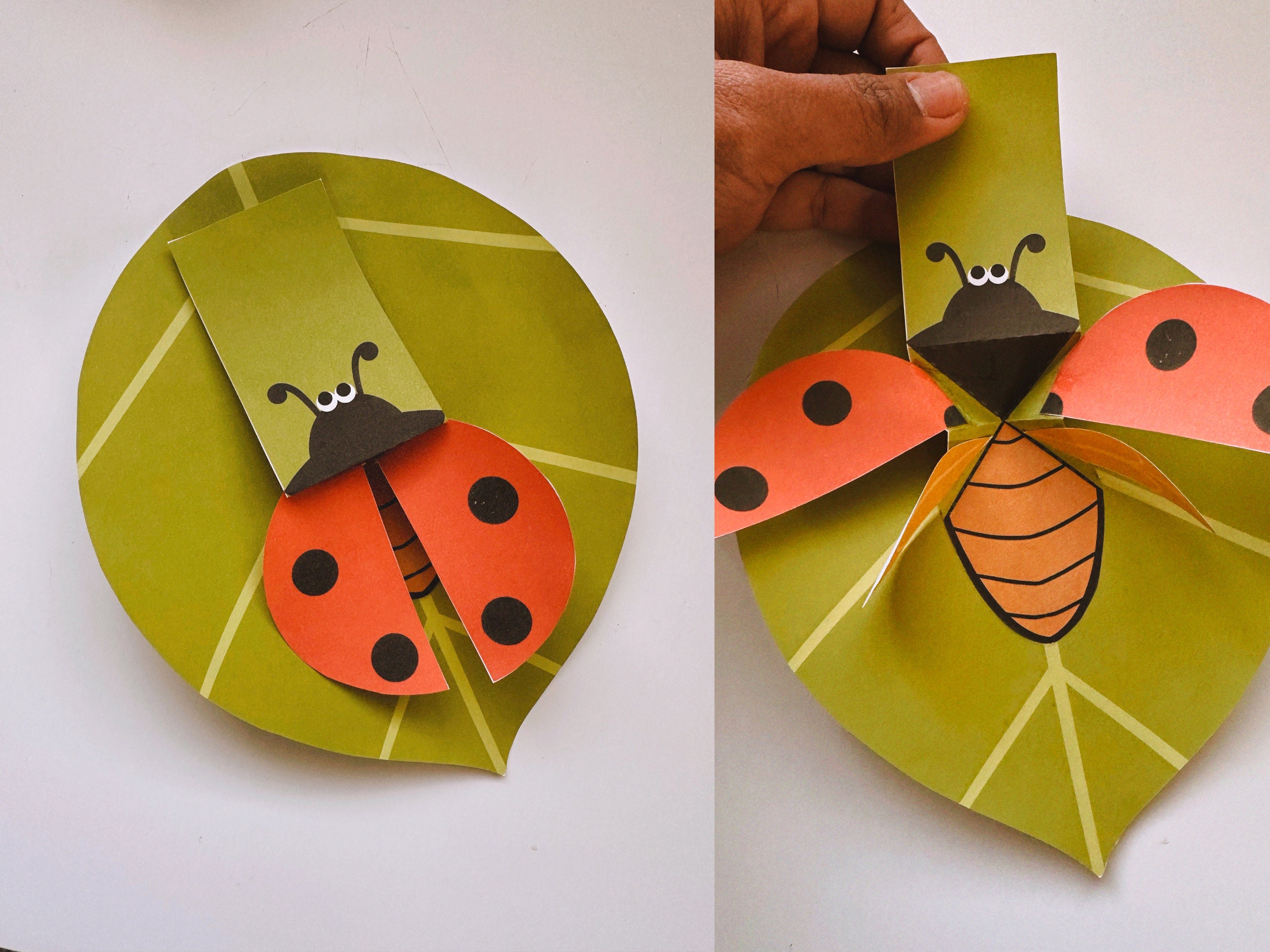 Printable Ladybug Unit Study Homeschool - Etsy