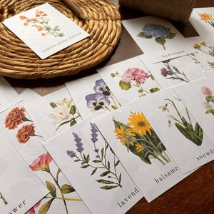 Printable Flower Identification Flashcards | Watercolor Flower ID Cards ...