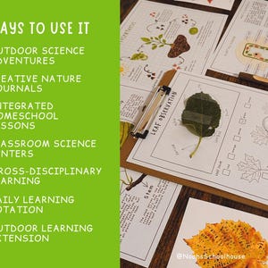 Printable Leaf Unit Study | Nature Study | Kids Botany | Homeschool - Etsy