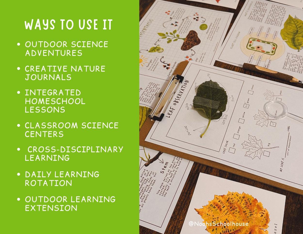 Printable Leaf Unit Study | Nature Study | Kids Botany | Homeschool - Etsy