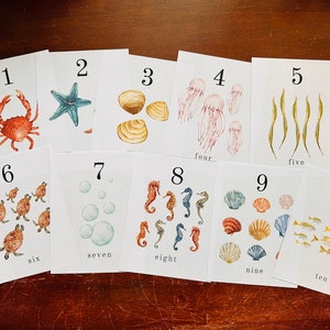 Printable Ocean-themed Counting Flashcards 1-10 | Watercolor Counting ...