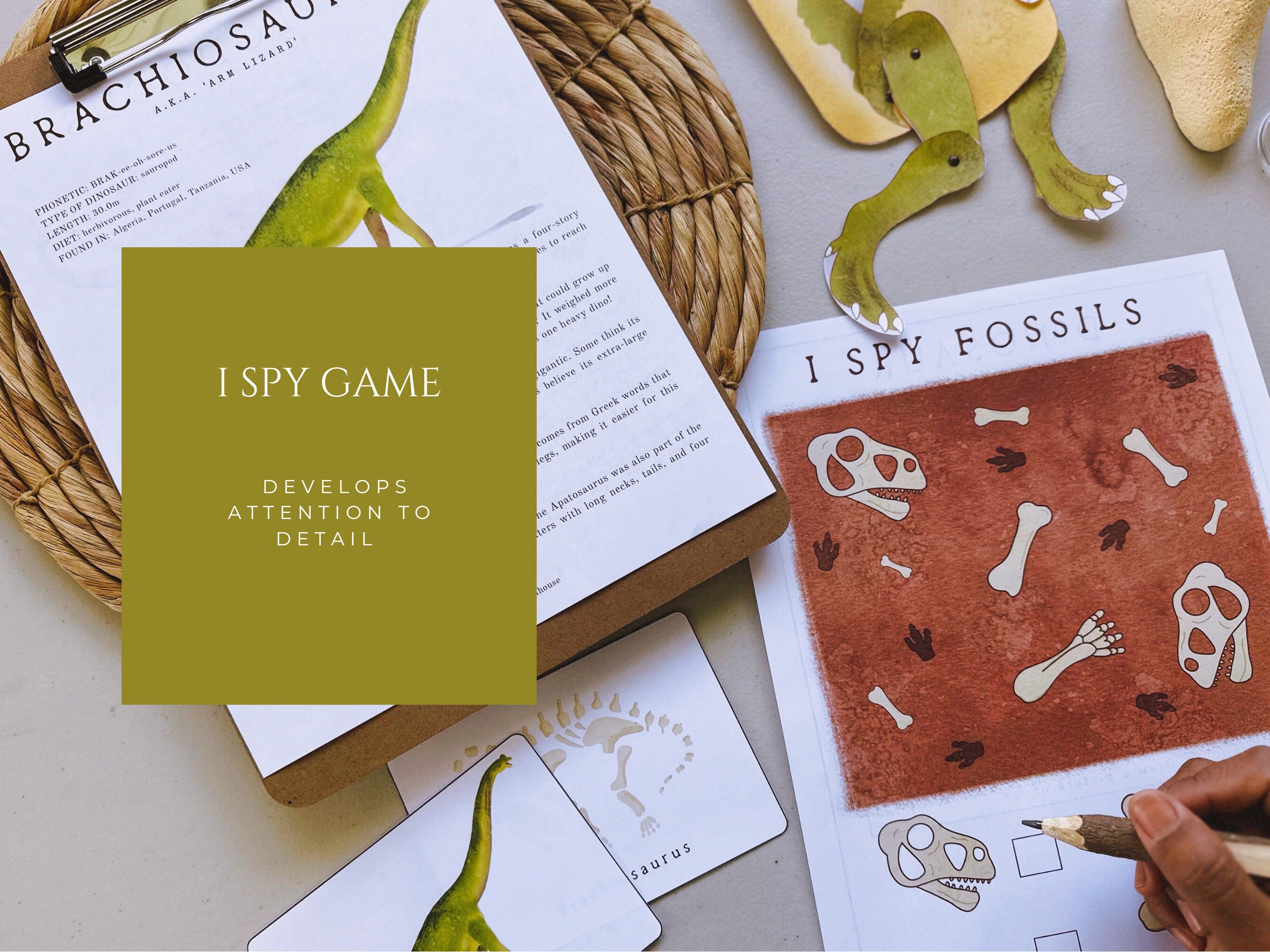 Printable Dinosaur Unit Study Homeschool - Etsy