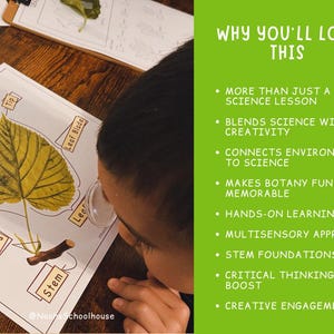 Printable Leaf Unit Study | Nature Study | Kids Botany | Homeschool - Etsy