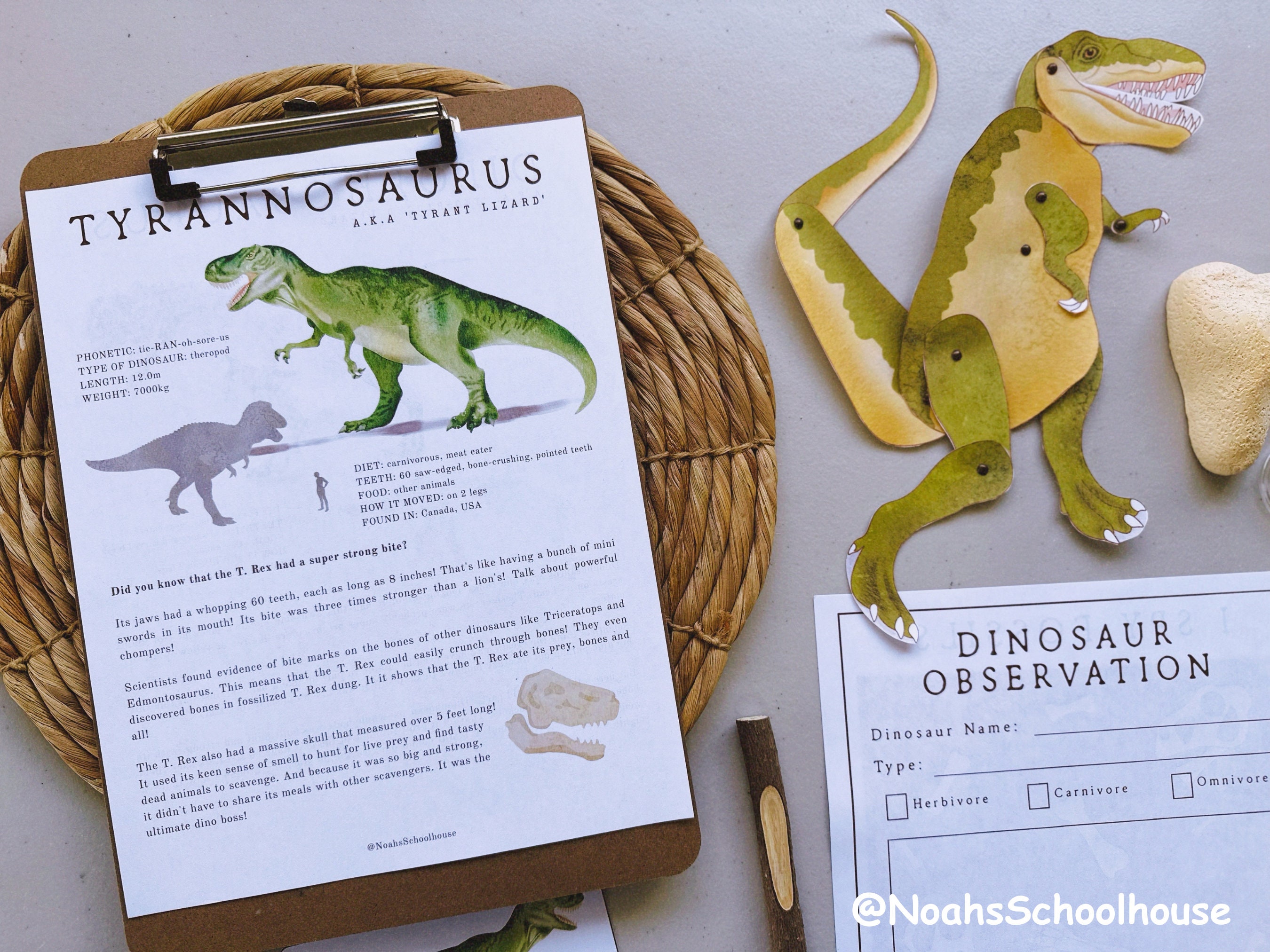 Printable Dinosaur Unit Study Homeschool - Etsy