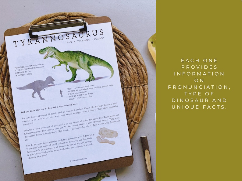 Printable Dinosaur Unit Study | Homeschool | Supplemental Study - Etsy