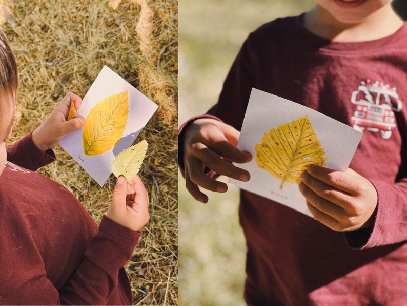 Printable Autumn Leaves Flashcards | Watercolor Leaves Flashcards ...