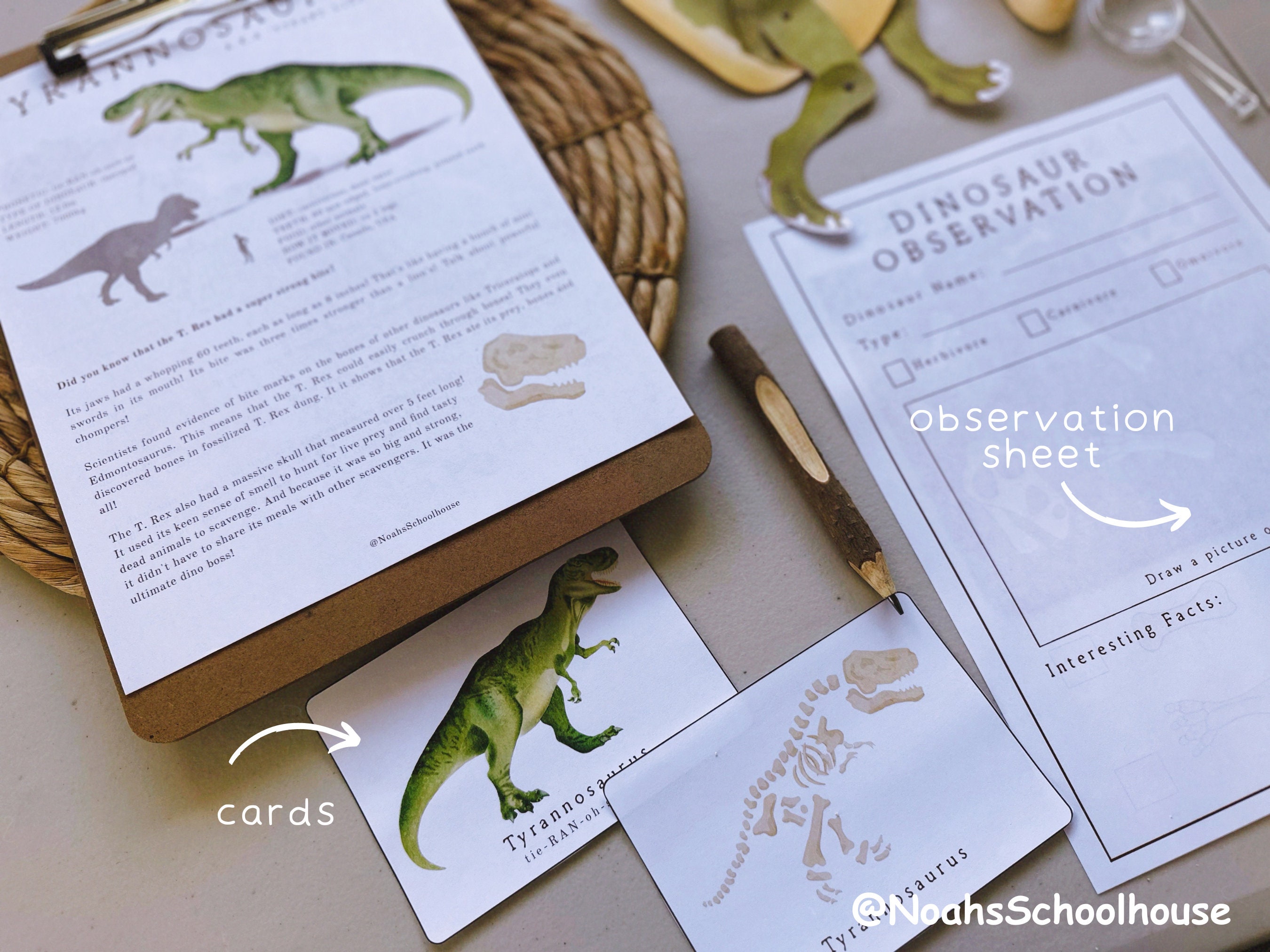 Printable Dinosaur Unit Study Homeschool - Etsy