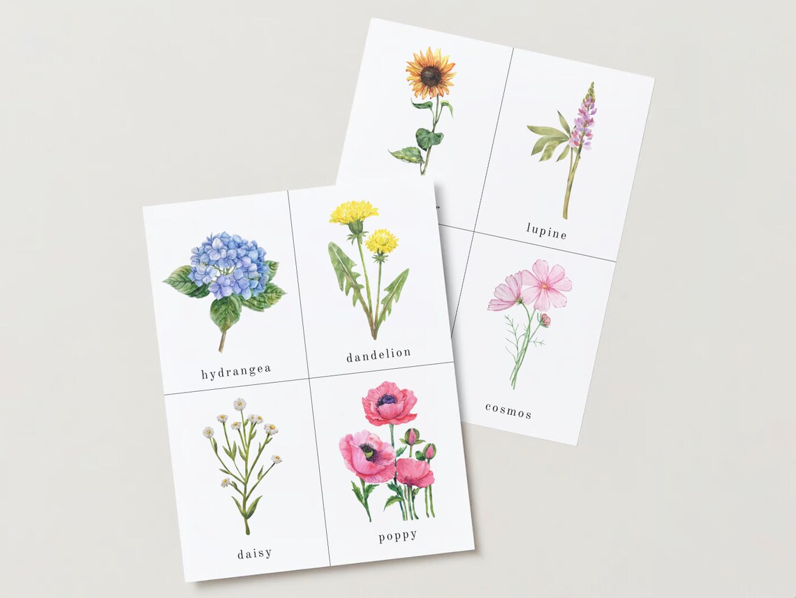Printable Flower Identification Flashcards Watercolor Flower ID Cards ...