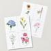 Printable Flower Identification Flashcards Watercolor Flower ID Cards ...
