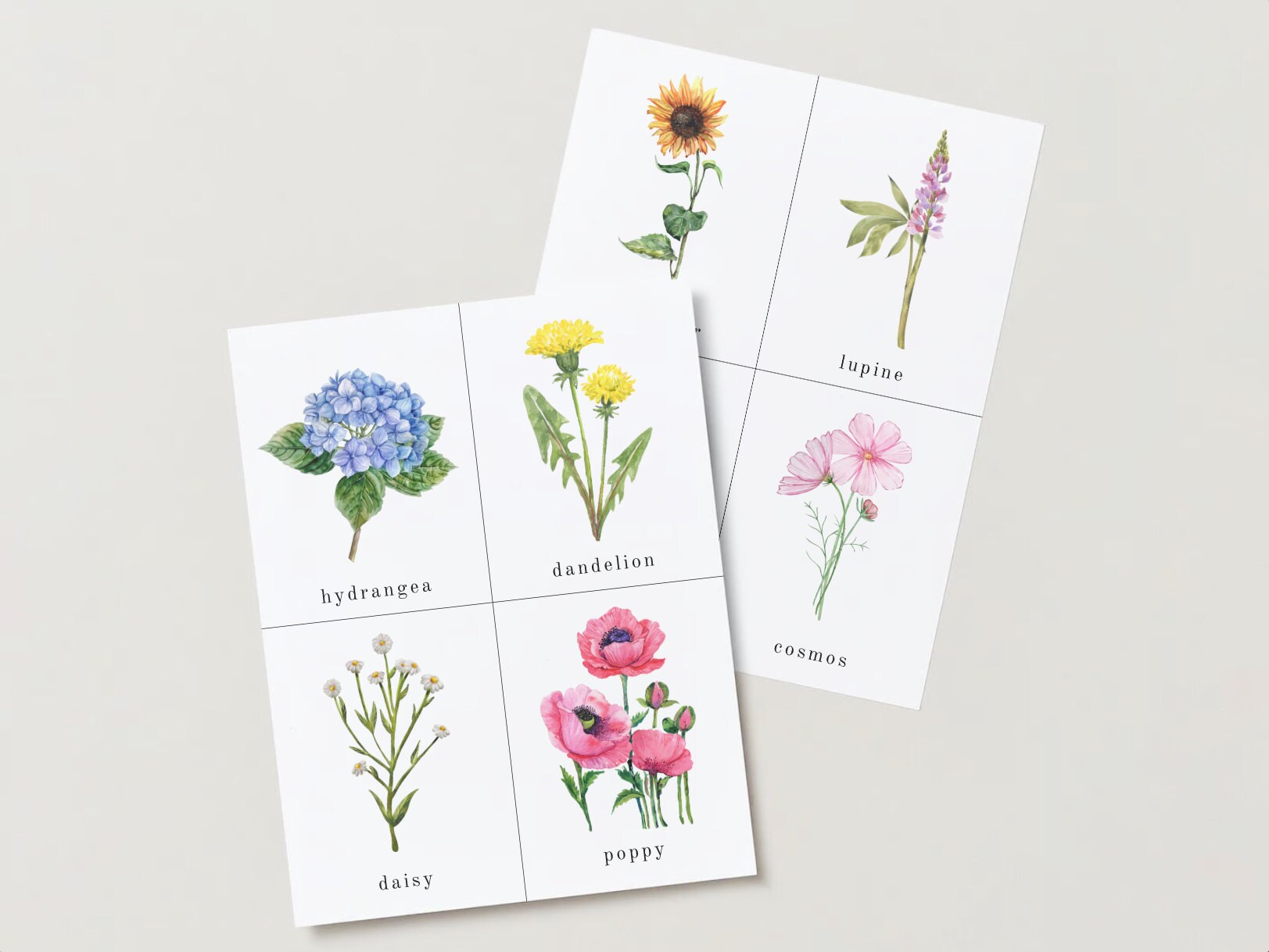 Printable Flower Identification Flashcards Watercolor Flower ID Cards ...