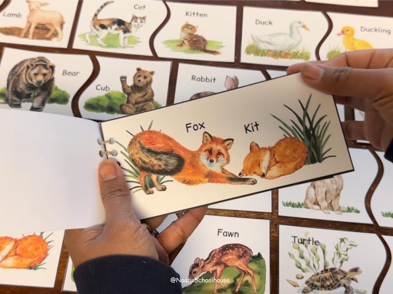 Printable Adult Animals and Their Young Flashcards | Matching Activity ...