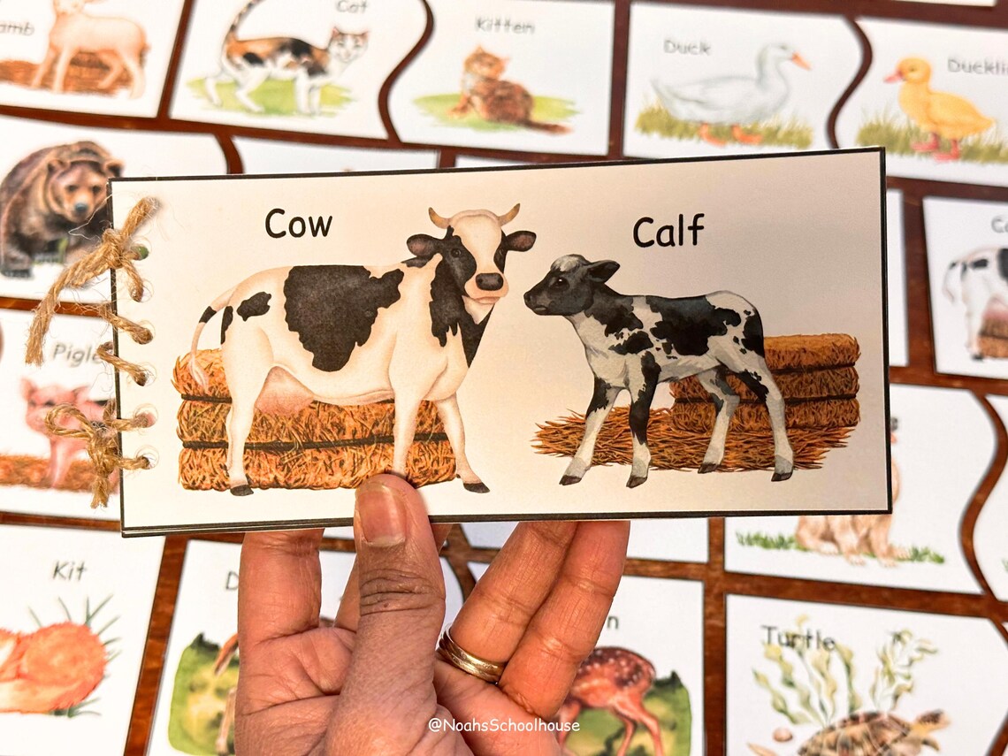Printable Adult Animals and Their Young Flashcards | Matching Activity ...