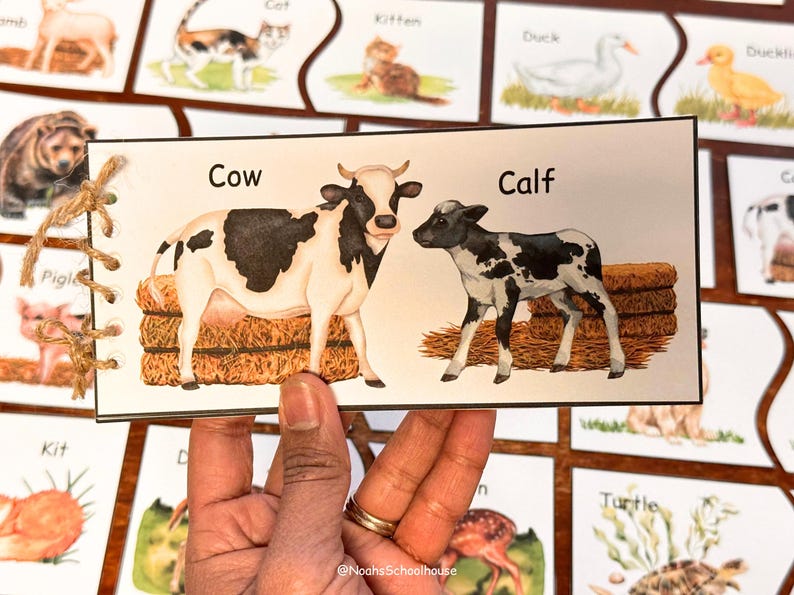 Printable Adult Animals and Their Young Flashcards | Matching Activity ...
