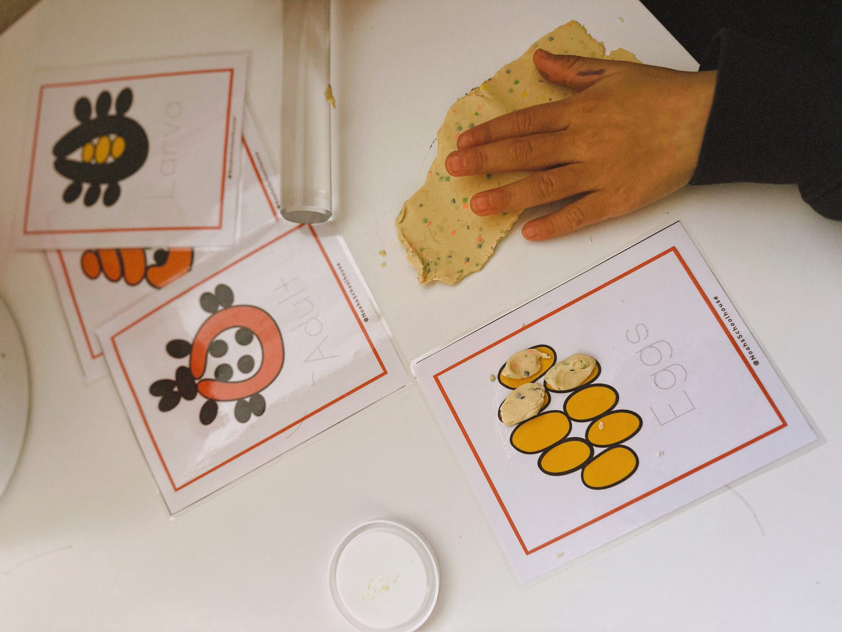 Printable Ladybug Unit Study Homeschool - Etsy