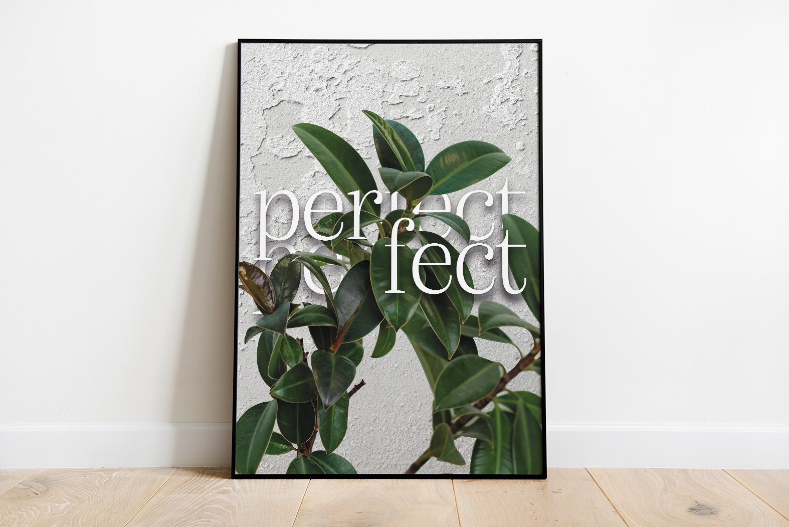 Floral Poster A3 | Fikus Plakat | Ficus Leaves | Three Posters | Urban ...