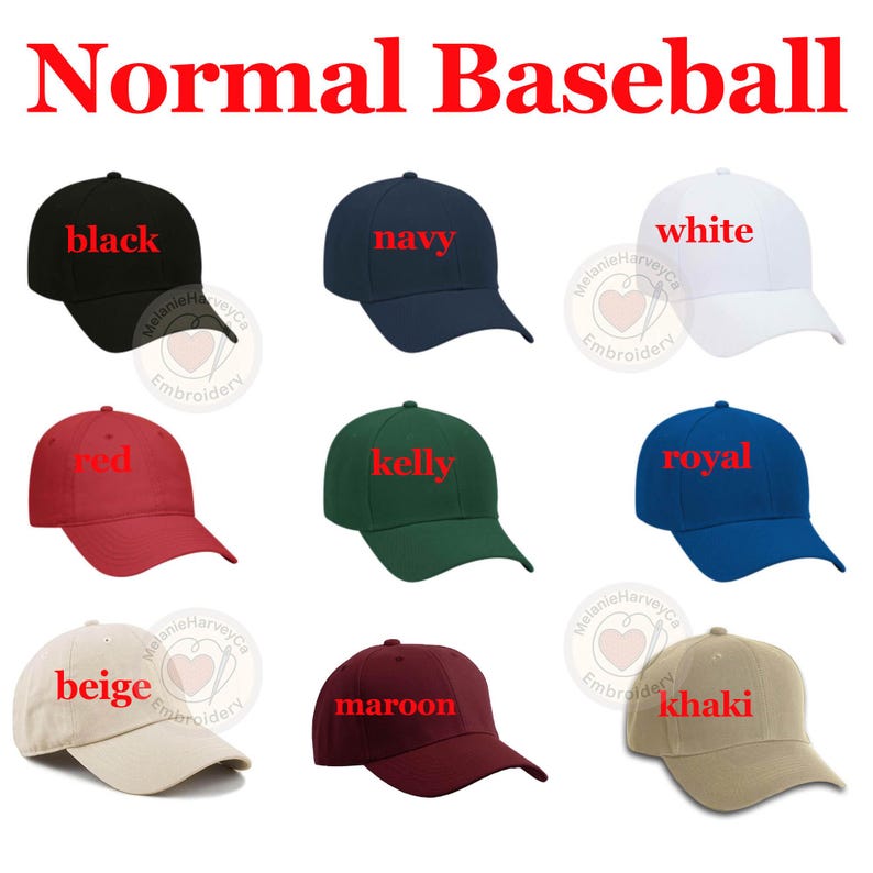 Whatever You Allow Your Government Quote Embroidered Hat, Political ...