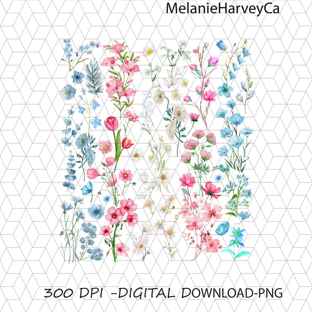 Subtle Flower Transgender Support LGBTQ Shirt, Trans Pride Wildflower ...