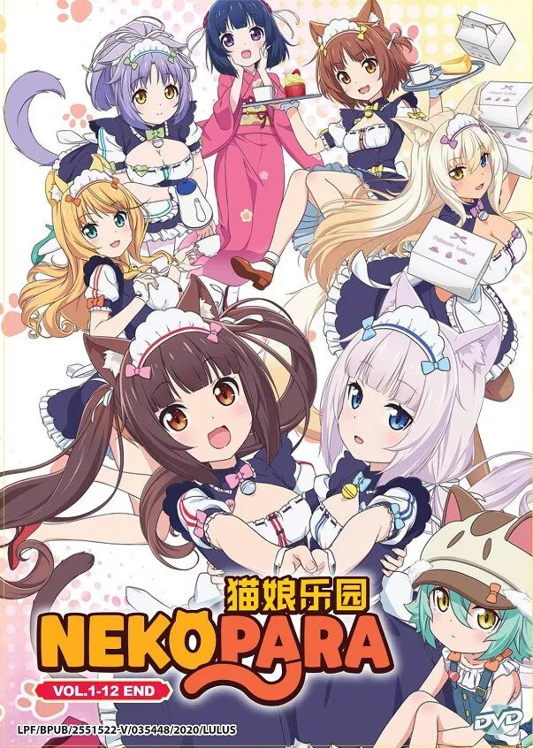 DVD Anime Nekopara Complete TV Series (1-12 End) English Dubbed Version ...