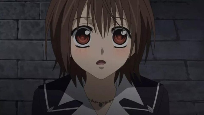 DVD Anime Vampire Knight Complete Season 1 & 2 Collection Box English ...