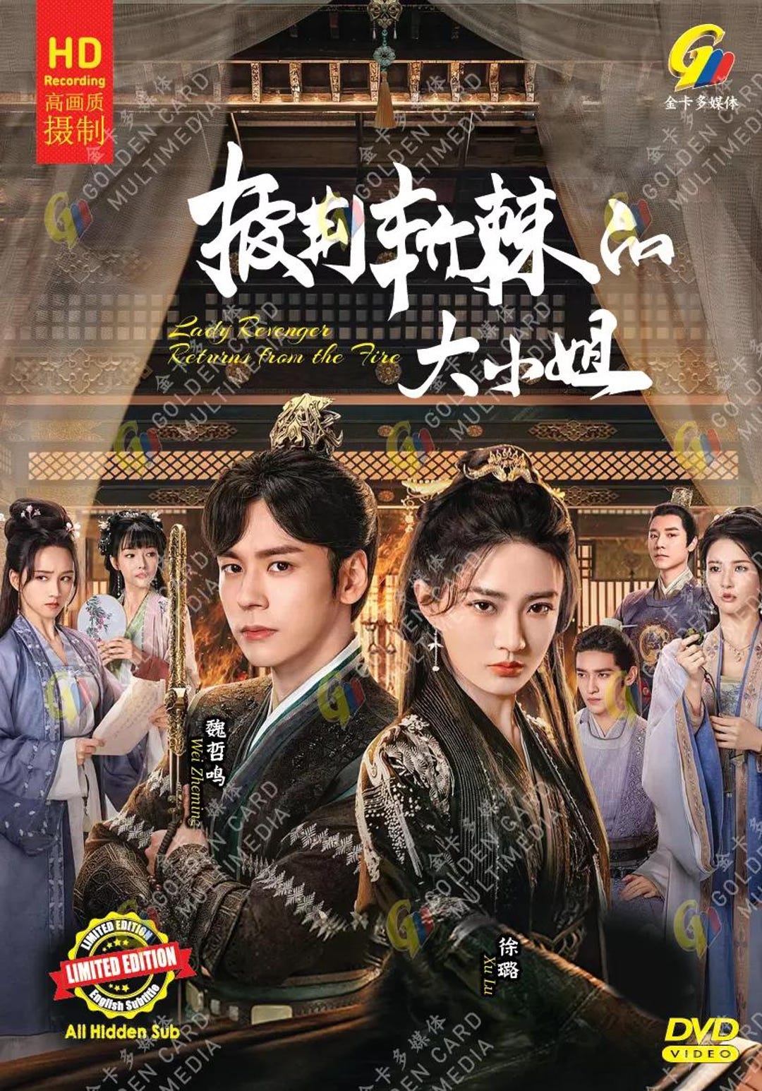 DVD Chinese Drama Lady Revenger Returns From the Fire 披荆斩棘的大小姐1-24end ...