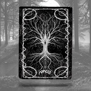 Basic Lands Set 1 of Each Basic Land MTG Alter Mana Plains Mountain ...