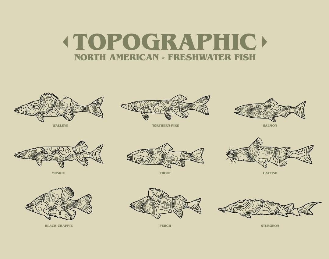 TOPO FRESHWATER FISH (svg/pdf/eps/png) - Etsy
